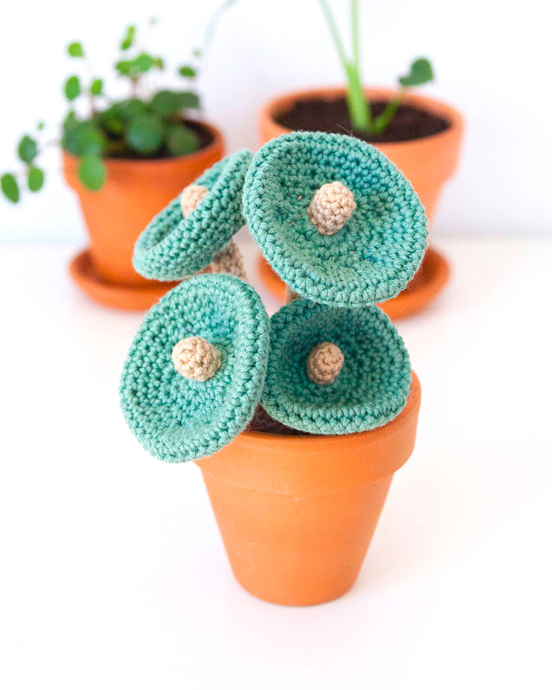 38 Free Patterns on Crochet Plants • Made From Yarn