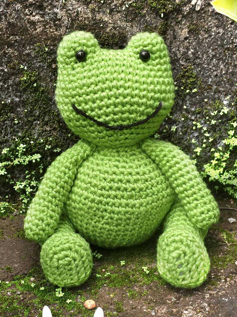 29 Adorable Free Crochet Frog Patterns • Made From Yarn