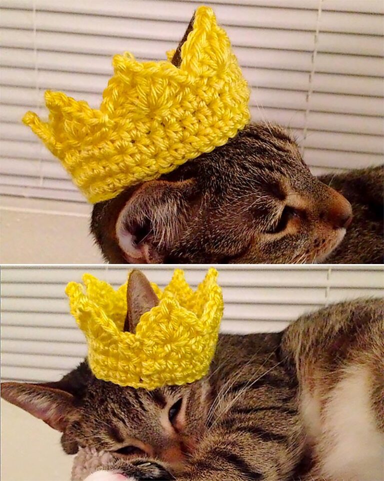 33 Free Crochet Cat Hat Patterns • Made From Yarn