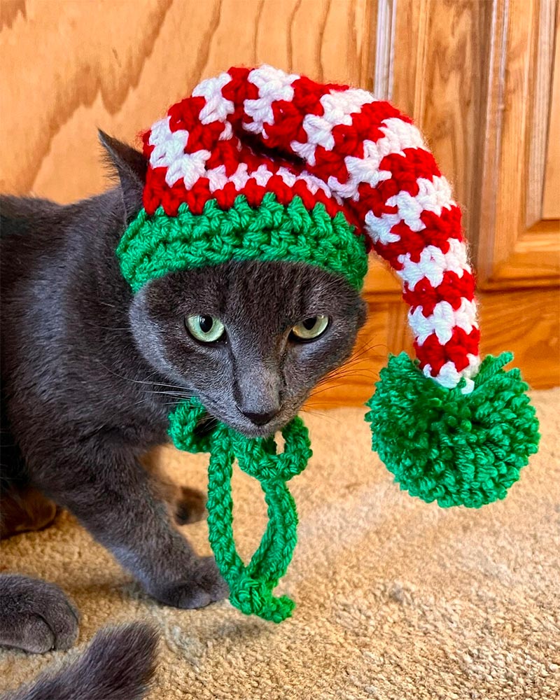 33 Free Crochet Cat Hat Patterns • Made From Yarn