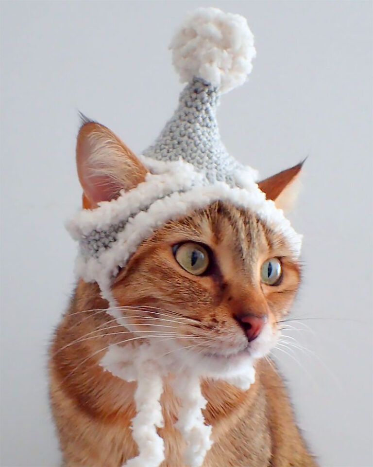 33 Free Crochet Cat Hat Patterns • Made From Yarn
