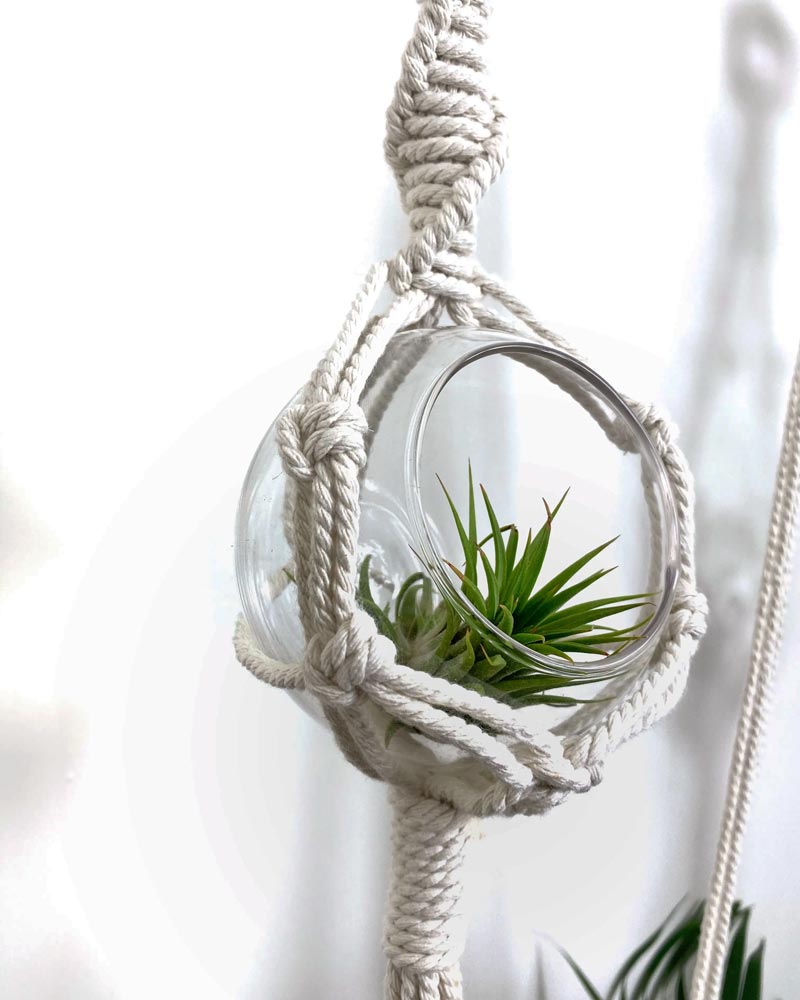 32 Easy Macramé Plant Hanger Patterns • Made From Yarn