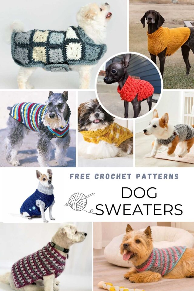 30+ Warm Crochet Dog Sweater Patterns • Made From Yarn